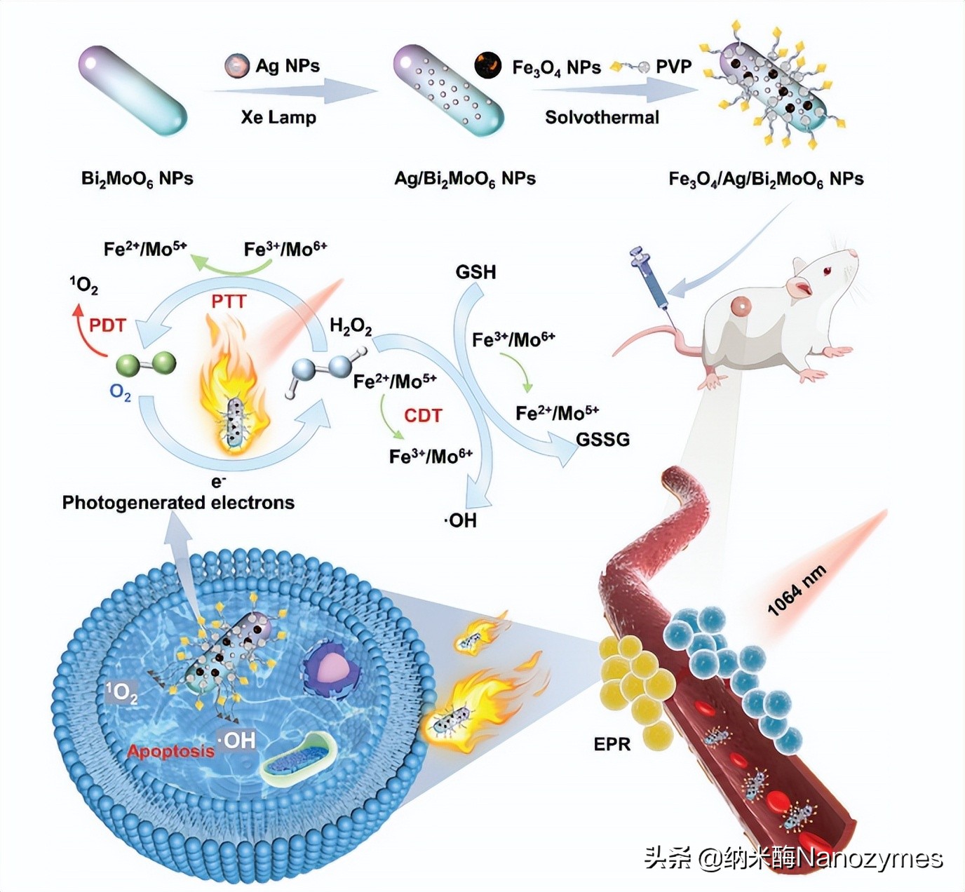 Ferric oxide/silver/bismuth molybdate photoactivated nanozymes for self ...