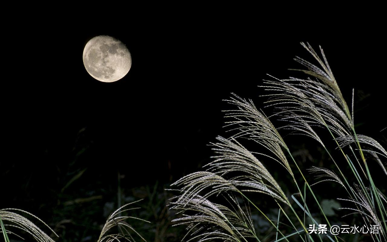 Two vivid Zen poems, with strong Zen meaning, give people a feeling of ...