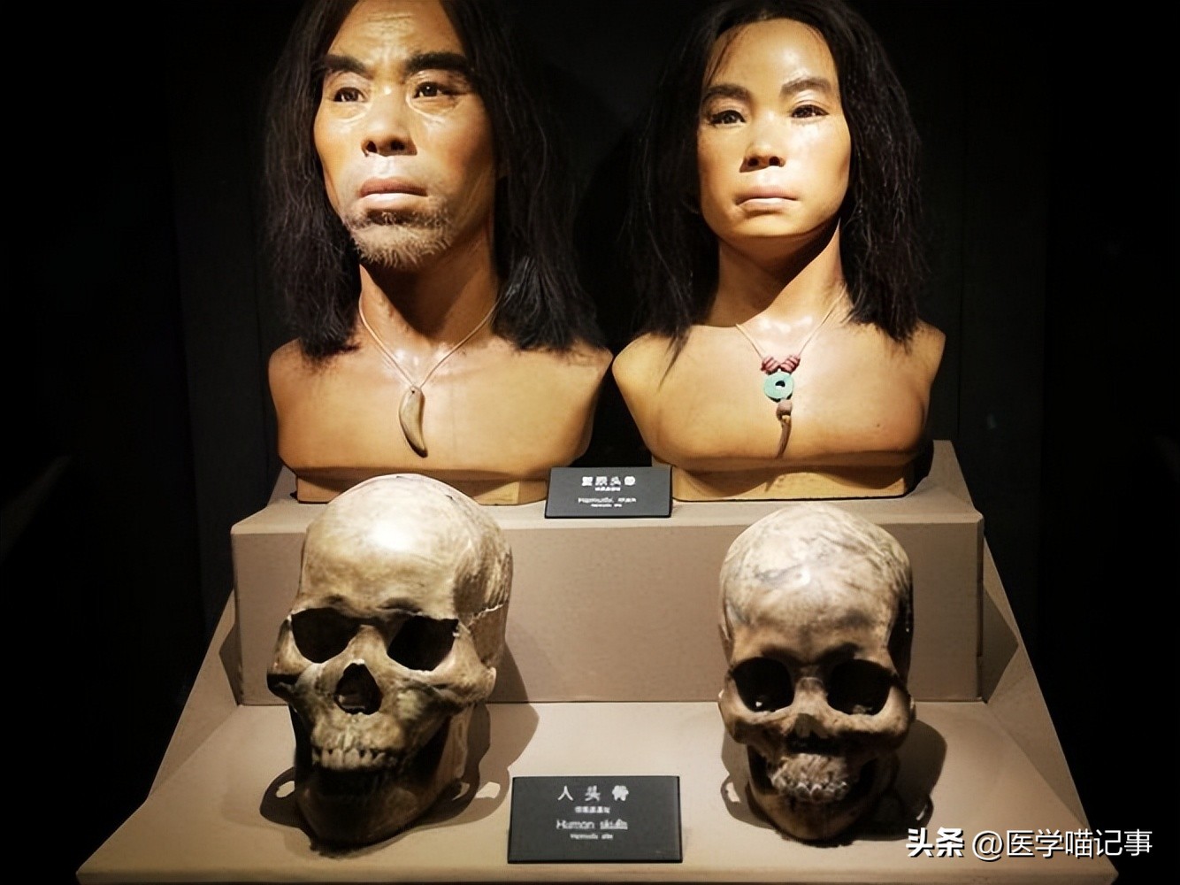 On the Origin and Settling Factors of the Ancient Hemudu People - iNEWS