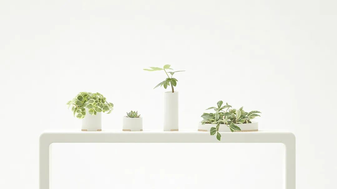 "10 Styles" - Creative Flower Pot Design - iNEWS