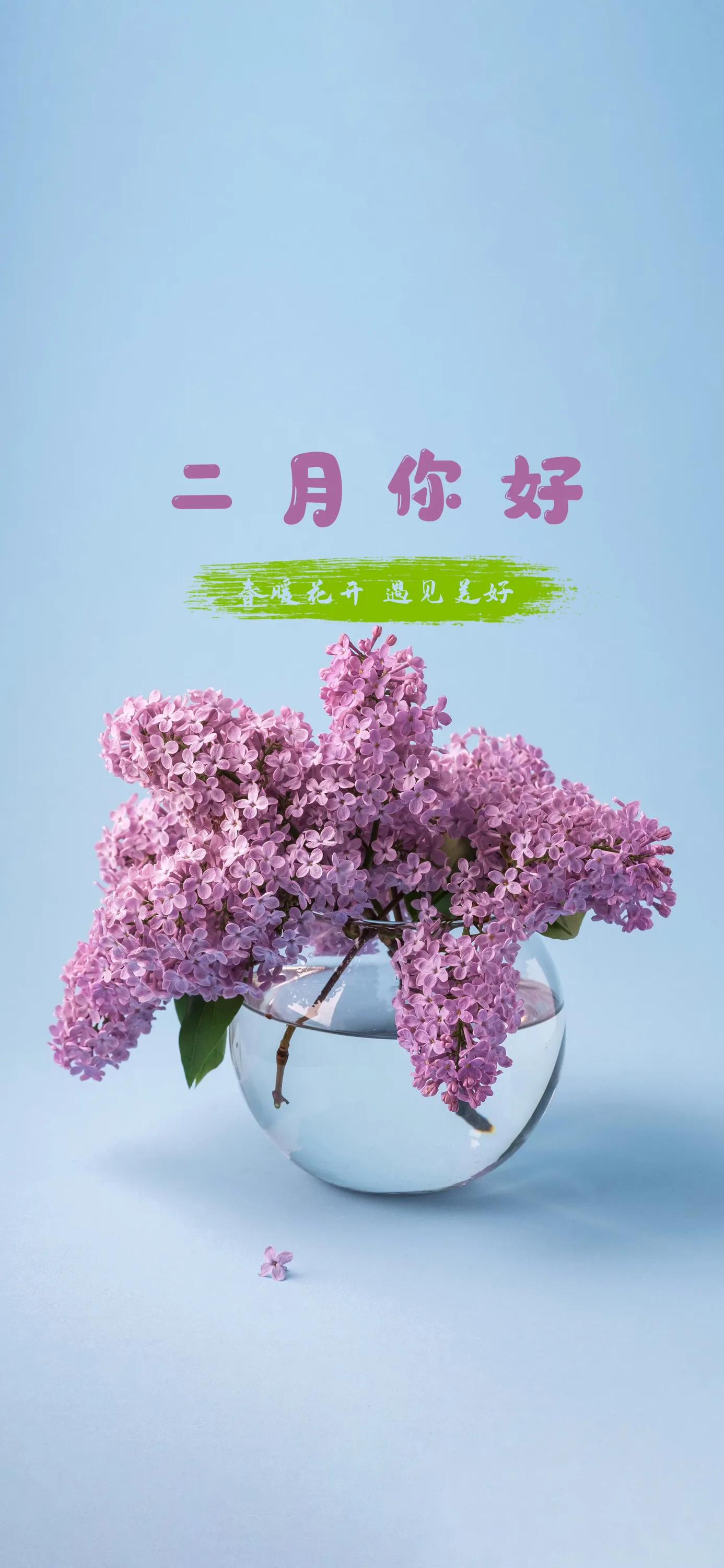 "February! Spring is coming" mobile wallpaper - iNEWS