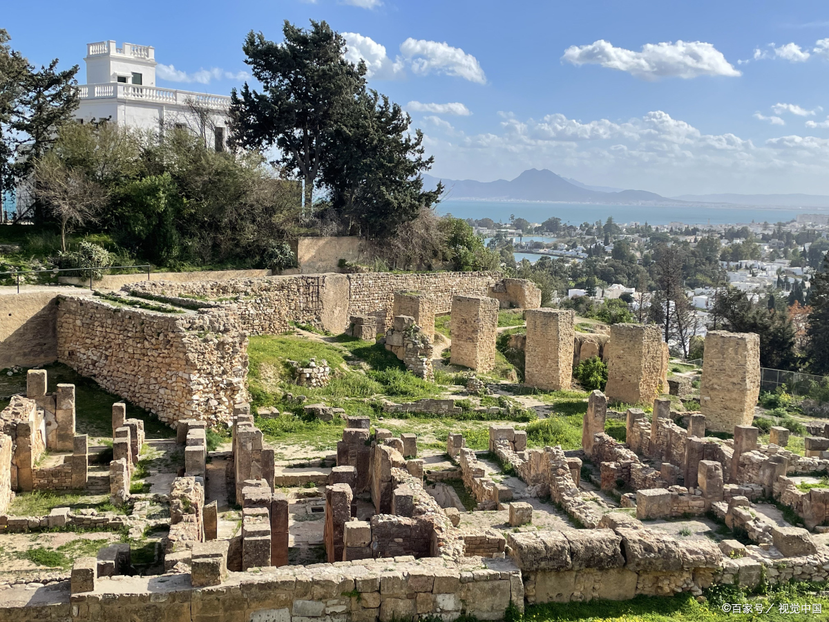 Carthage Contemporary Art Festival - iNEWS