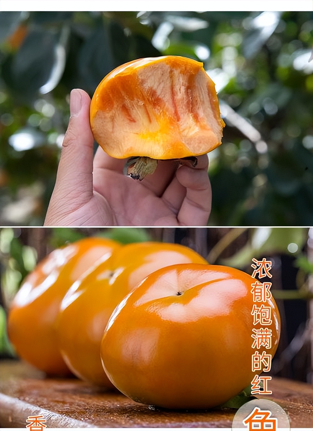 Have you tried chocolate crunchy persimmons? Apple-like crispness and ...