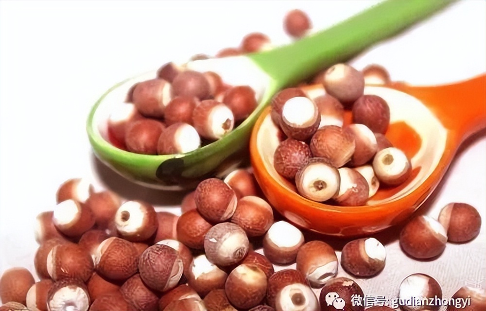 Gorgon fruit: the baby that removes dampness better than red beans ...