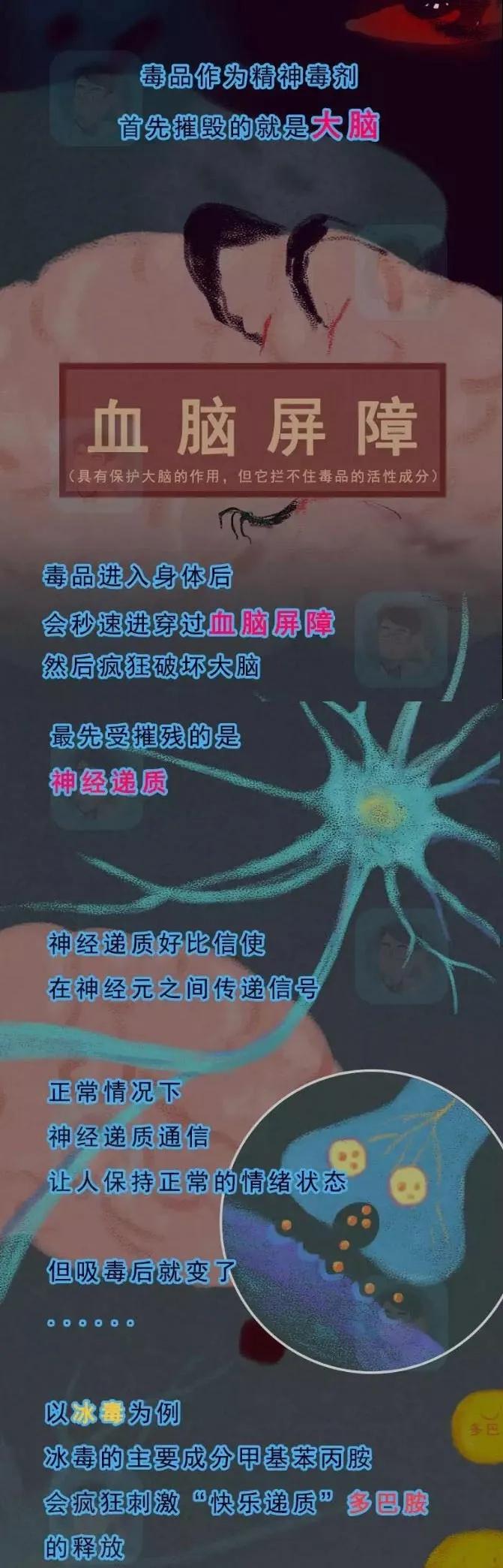 How crazy can a person be when drug addiction comes? - iNEWS