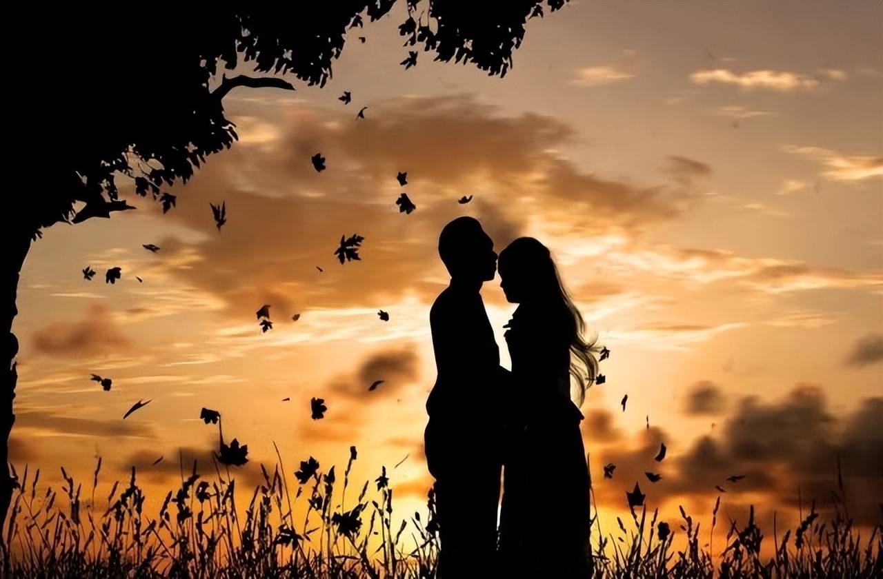 An aesthetic exploration of love literature and the description of love ...