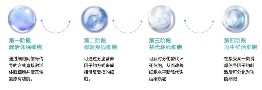 Exosome hard core anti-aging: say goodbye to fragile muscles, decrypt ...