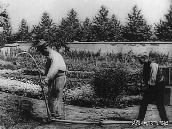 In the movie "Watering the Gardener", what kind of different world is ...