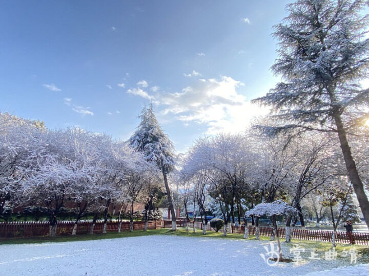 Qujing Xuanwei: Wanshui Park after the snow is as beautiful as a fairy ...