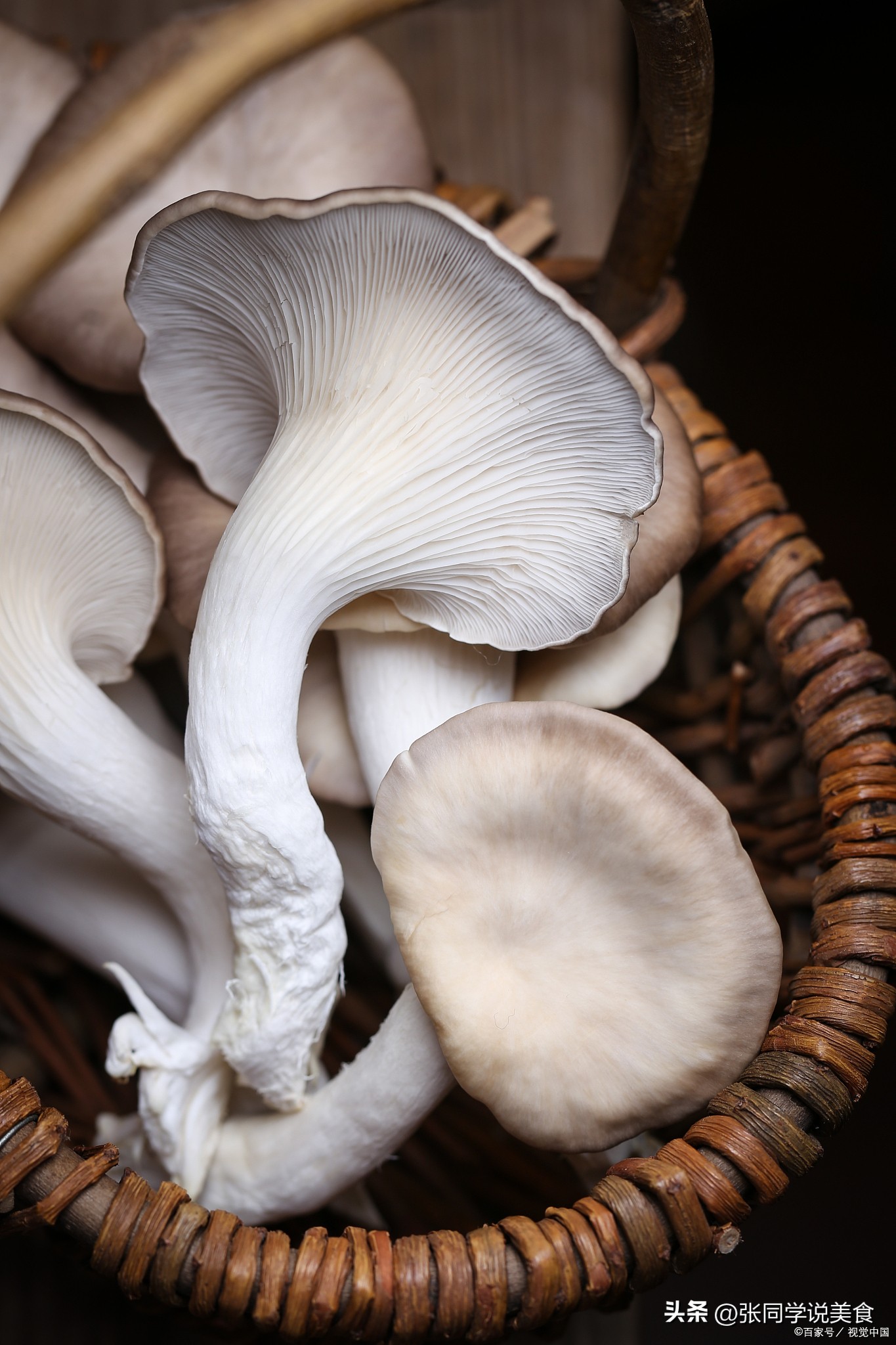 Oyster mushrooms are as fragrant as meat!Fresh, sweet and tender, spicy ...