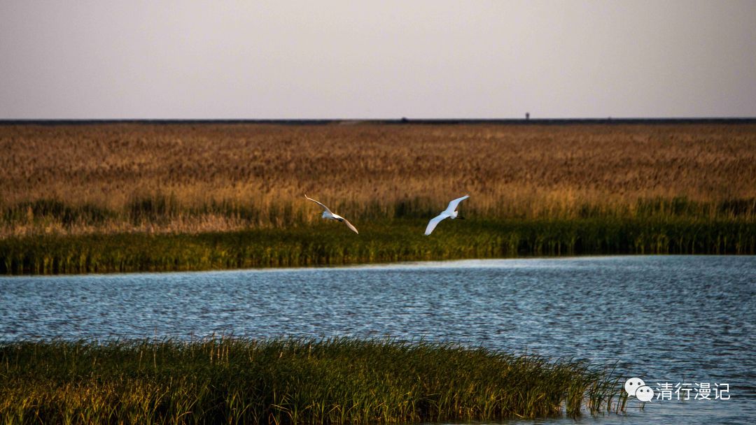 Hengsha Island in Shanghai Tour - iMedia