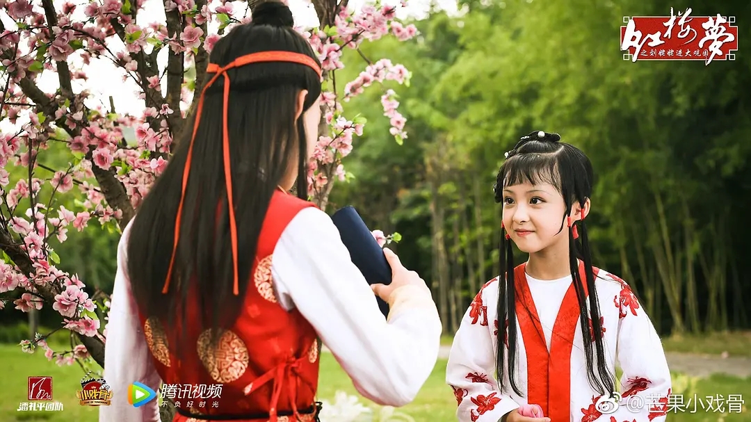 Daiyu and Baoyu never talk about their official career. Is it because ...