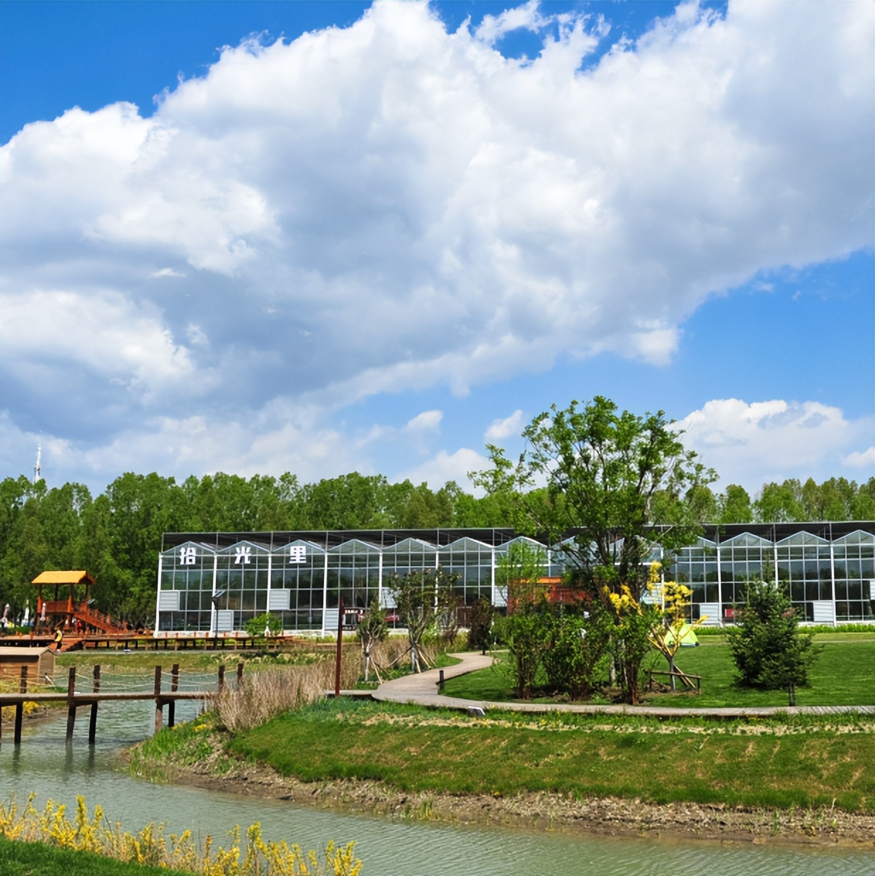 Fascinated by the field, half an acre of square pond - iNEWS