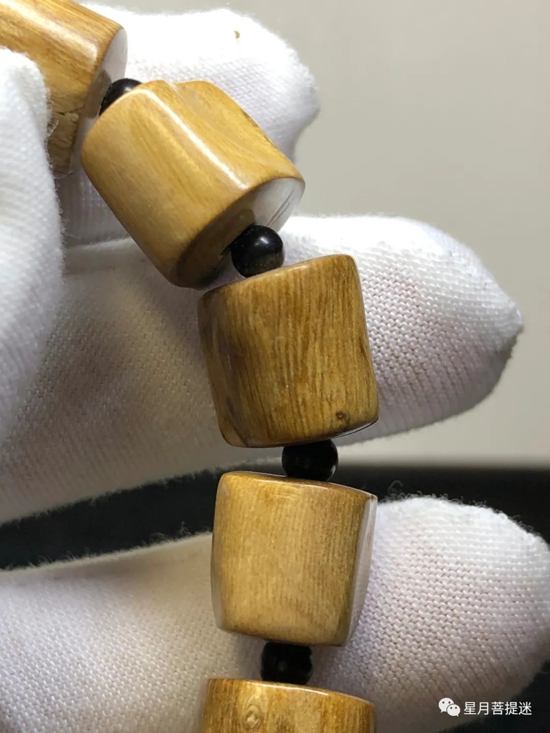 How to distinguish true and false sea willow?What are the varieties of ...