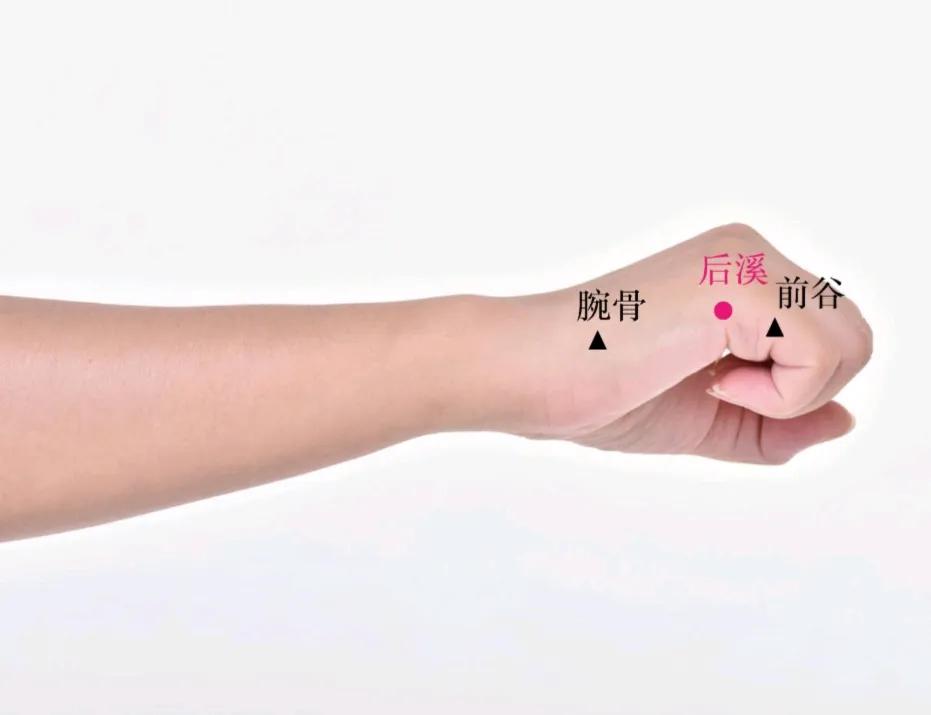 Houxi acupoint - a great acupoint that rules all neck, shoulder, and ...