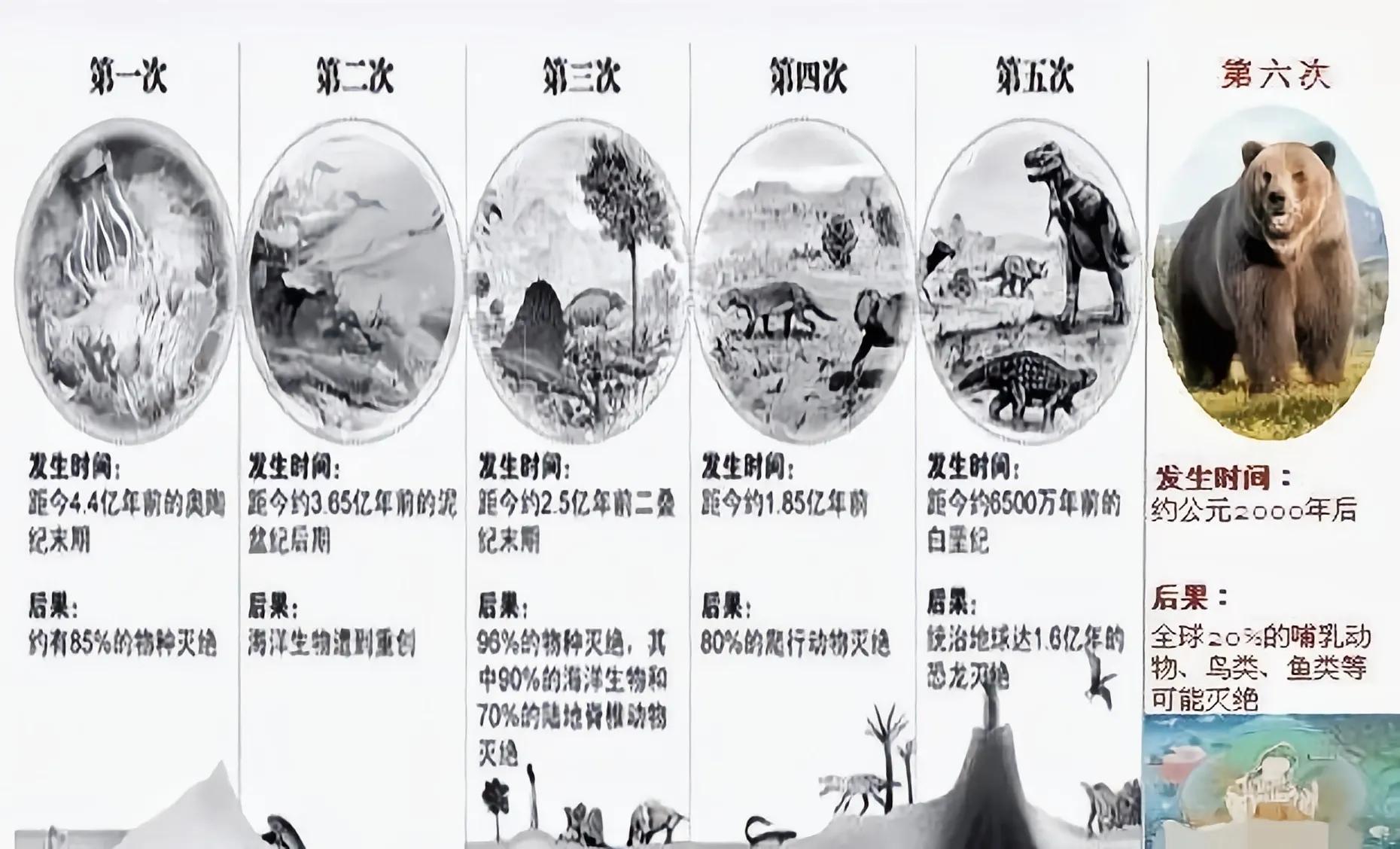 In what form might humans become extinct in the future? - iNEWS