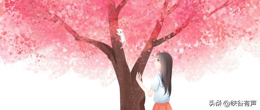 My time is expensive, I really don't have time to hate you - iNEWS