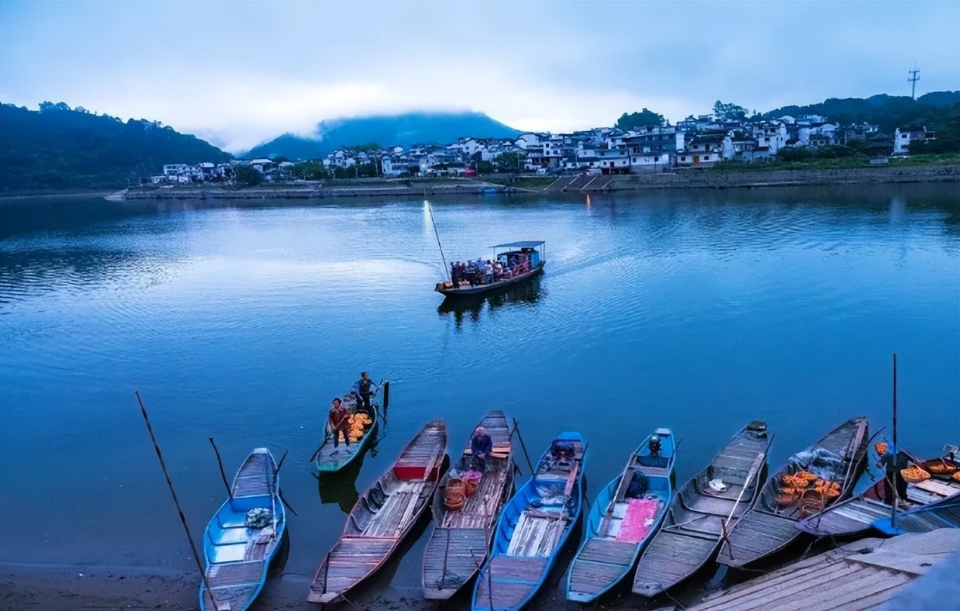 The Queen Mother's flat peaches in the sky, the loquats in the three ...