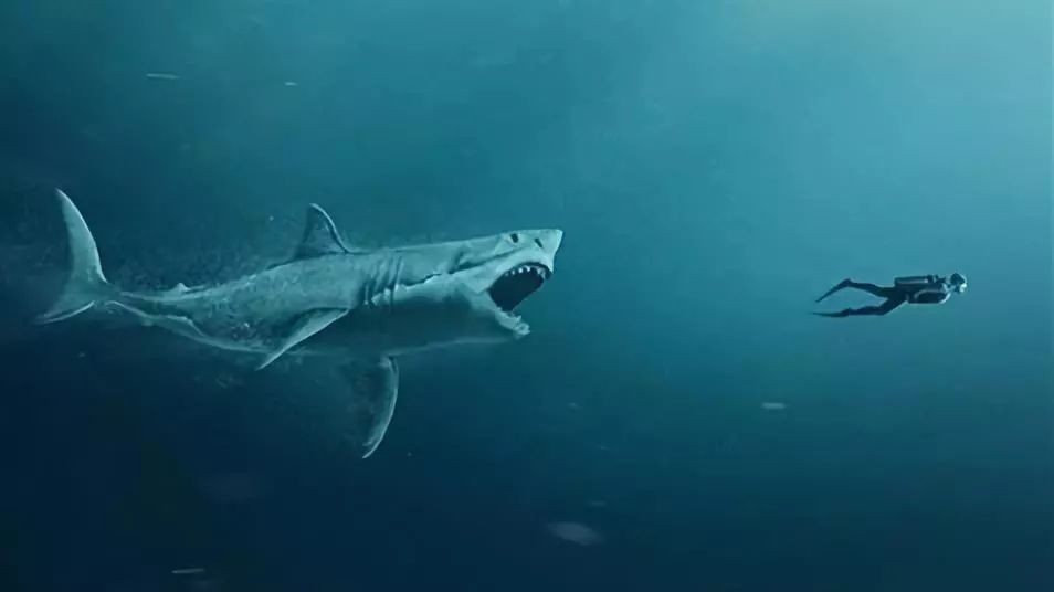 How scary is the giant tooth shark? With 250 teeth, it is believed to ...
