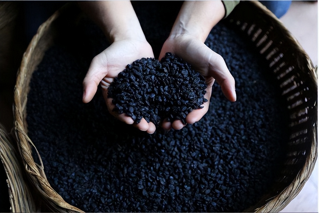 Detailed explanation of the drying process of tempeh - iMedia