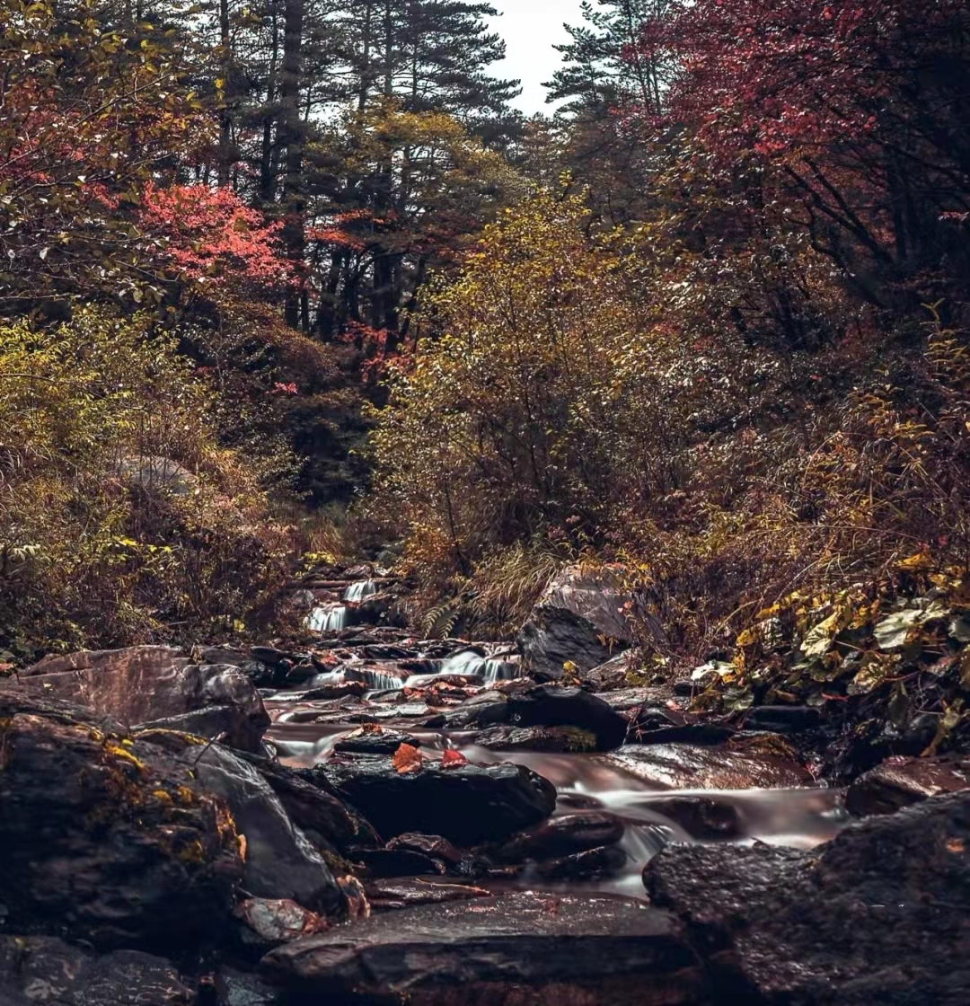 "Jin and Tang Longlei" understands the imperiousness of emperors - iNEWS