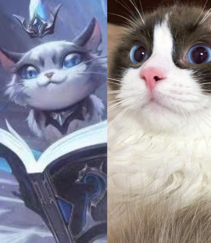 The original painting of the EDG champion skin is exposed!All staff are ...