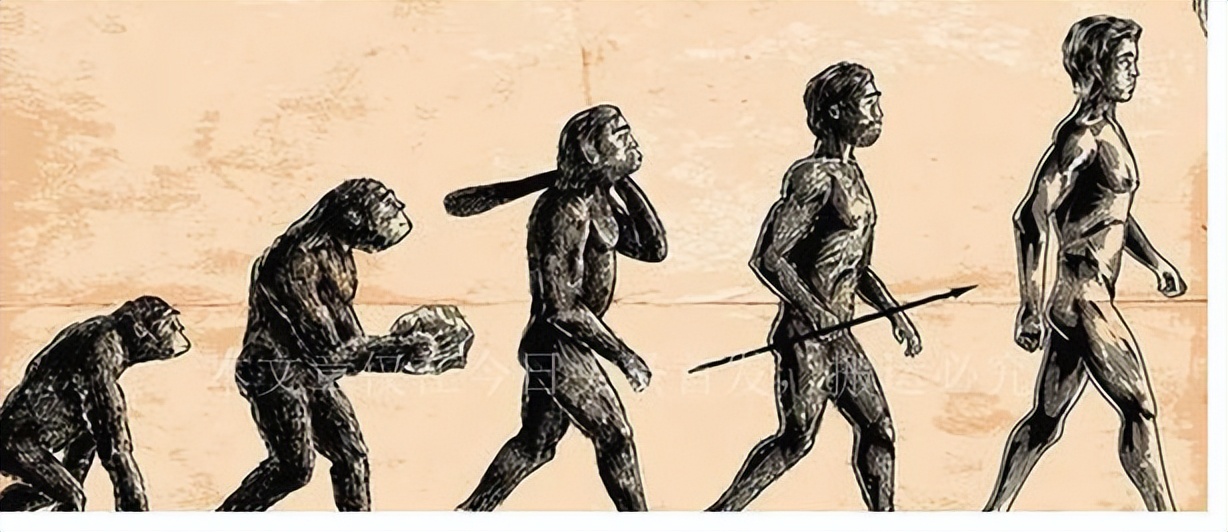 Xiaomi builds "humans" faster than Tesla and launches its first full ...