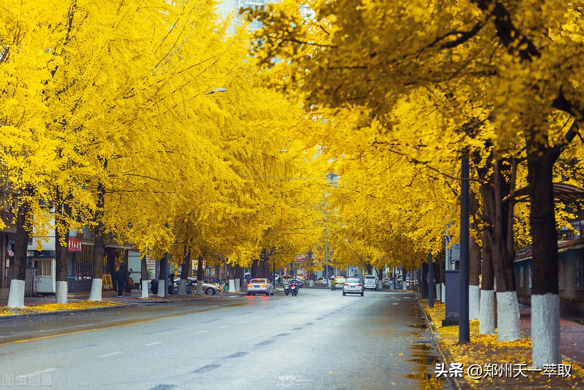 The main process of ginkgolide extraction - iNEWS