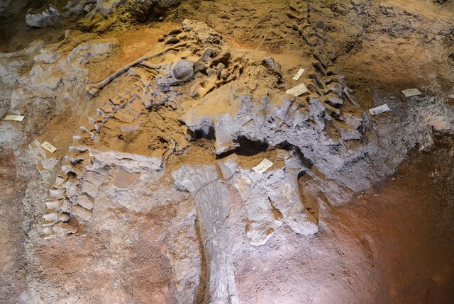 Mysterious phenomenon uncovered: the wreckage of an ancient angel has ...