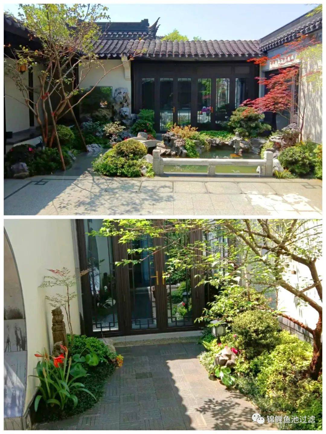 9 Villa Garden Koi Fish Pond Design Schemes - iMedia