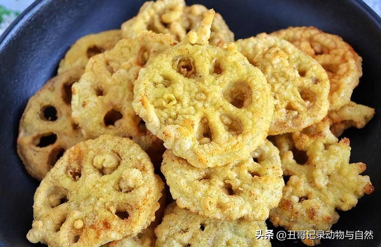 "Dish":Salt and pepper lotus root slices - iNEWS