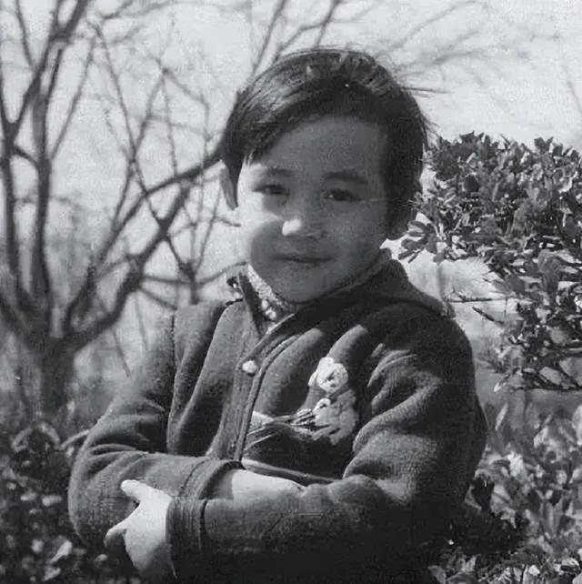 Actor Lu Yi: Married after becoming popular, there is no way not to ...