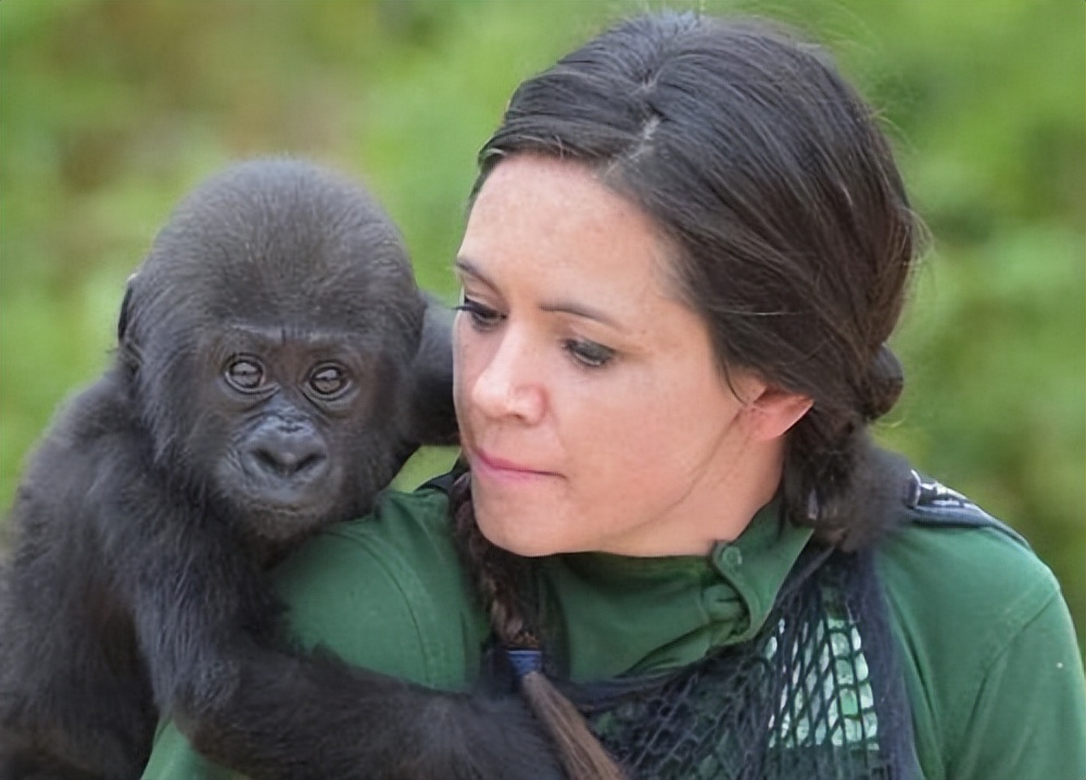 What do humans want? Why are orangutan ovaries and monkey testicles ...