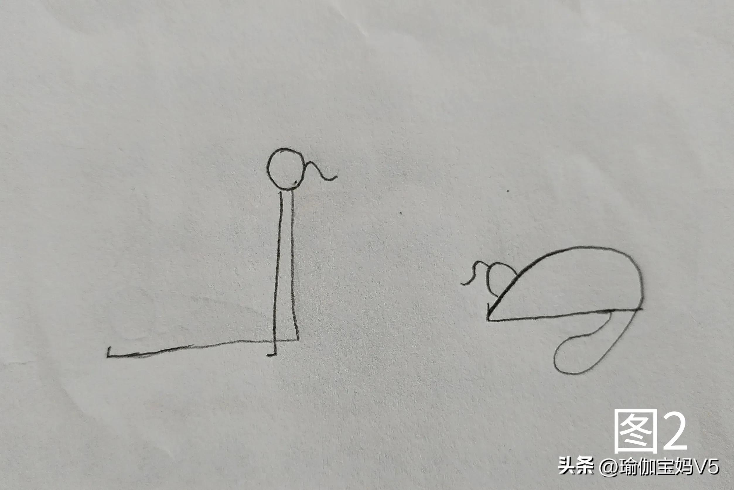 Sitting forward bending, one-leg head-to-knee command and key points ...