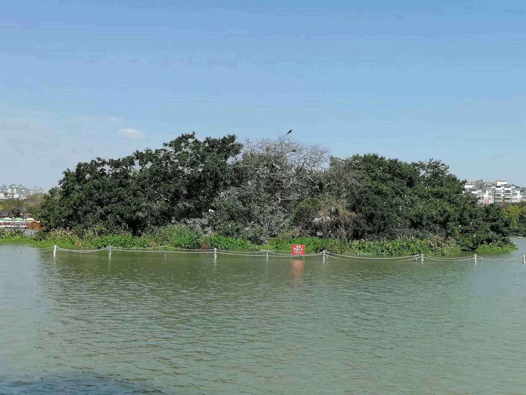 beautiful bird island - iNEWS
