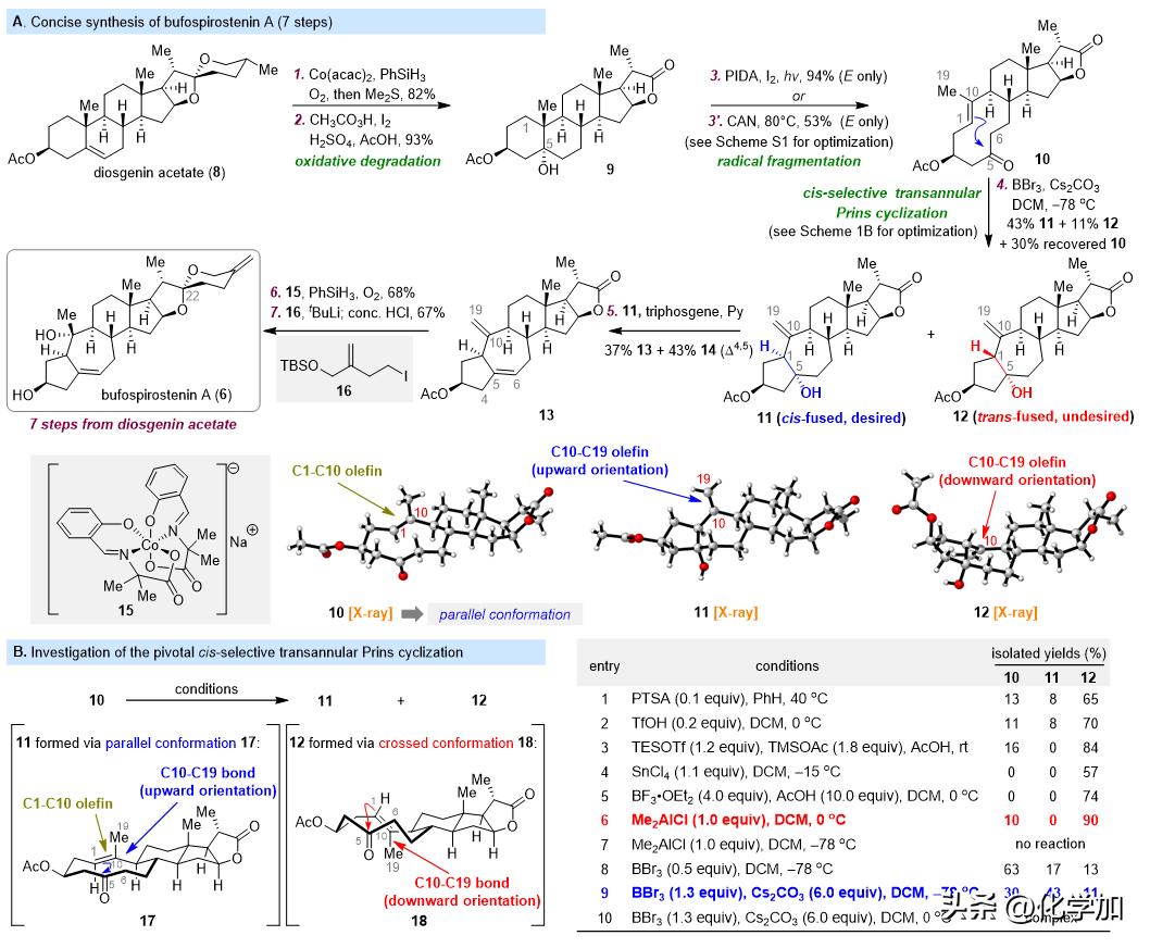 Synthesis of natural products by conformation-controlled cross-ring ...
