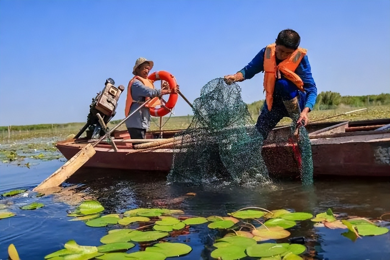 Recently, Xinjiang's “seafood” harvest has become popular - iMedia