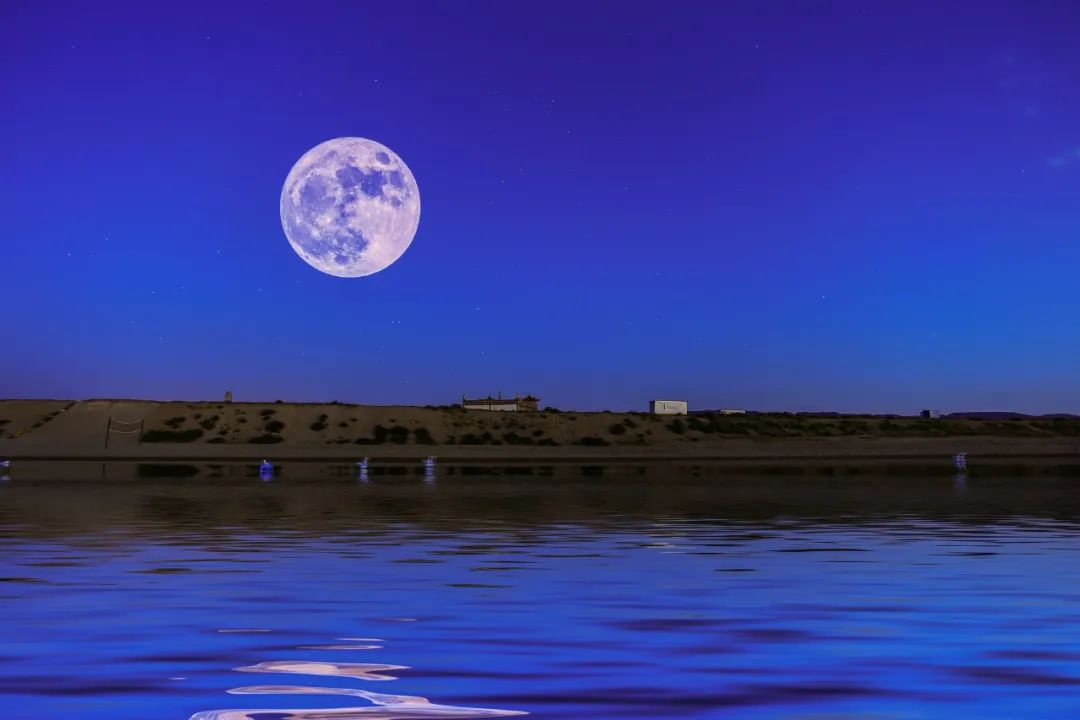 How can Zhang Ruoxu's "Moonlight Night on the Spring River" be able to ...