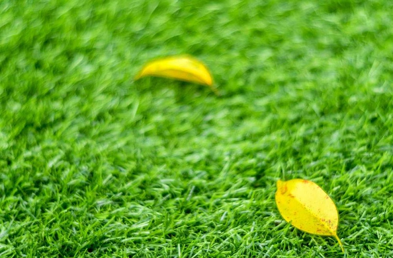 What are the basic methods of artificial turf cleaning? - iMedia
