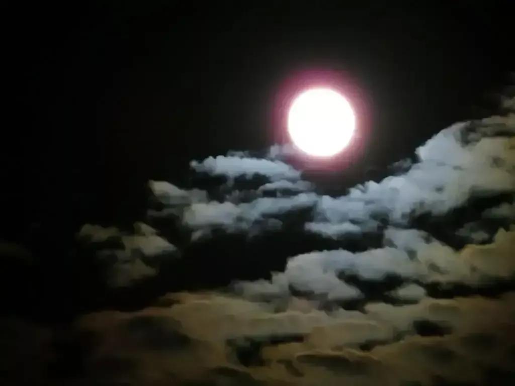 人間美景勝天堂【天涯歸雁原創詩詞】 - 資訊咖