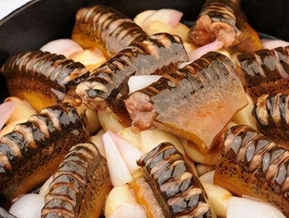 Eating eels may bring 6 benefits to the body, it is recommended to know ...