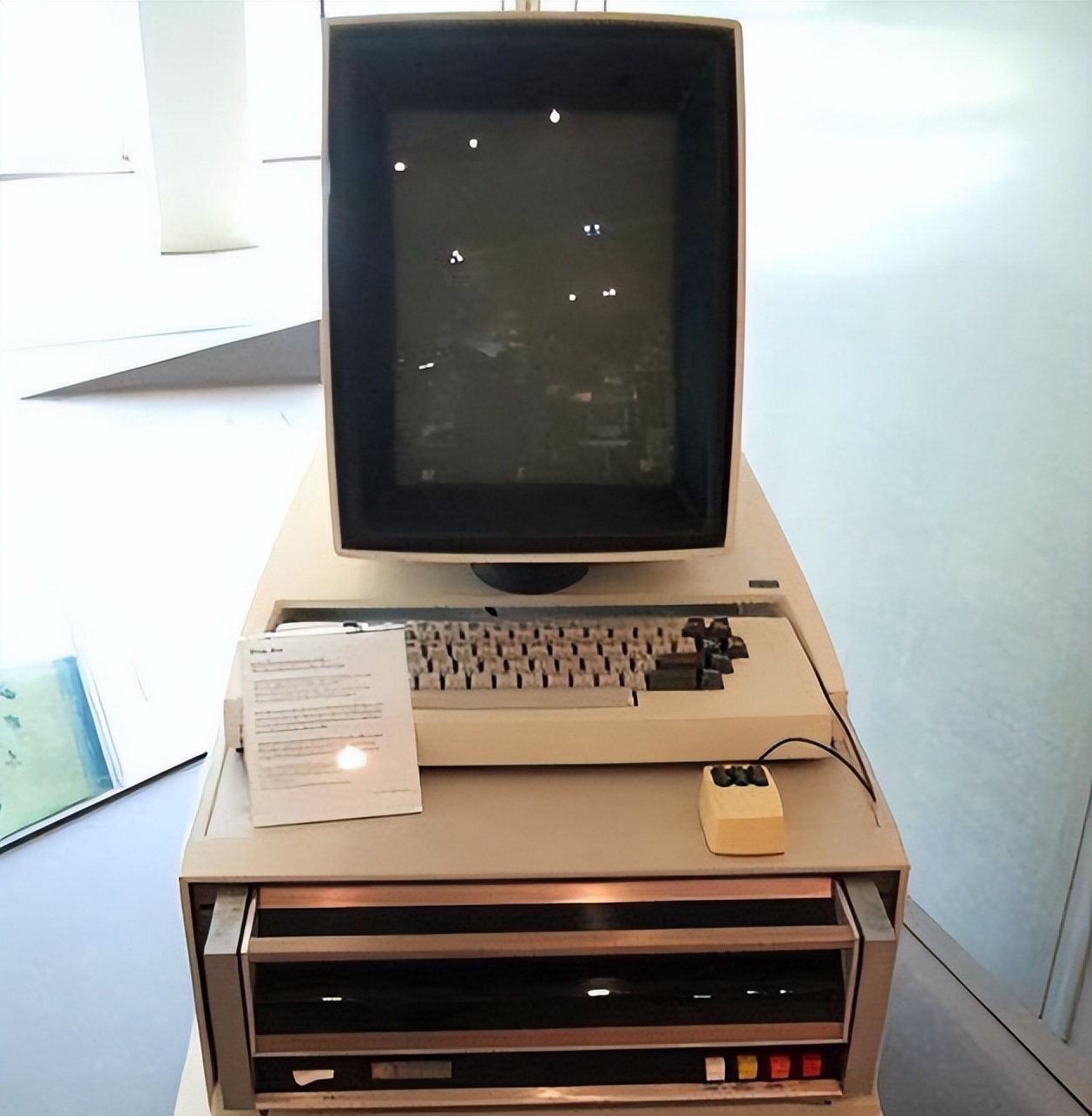 The birth and development of the mouse - iMedia