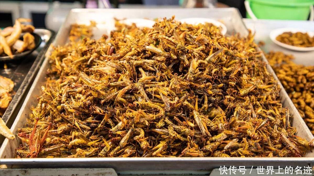 The six most embarrassing bugs in China have been eaten to the point ...