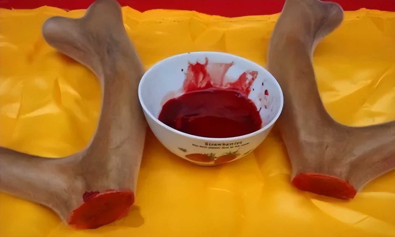 How to take the precious traditional Chinese medicine deer blood ...