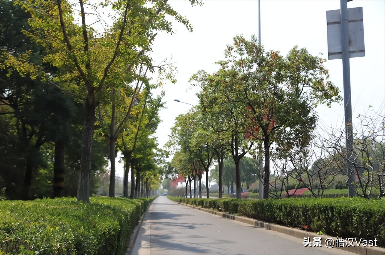 How to design highway landscape sequence? - iNEWS