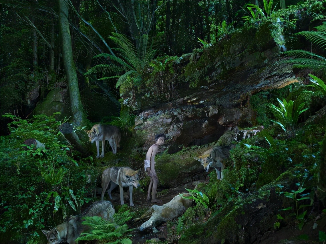 Dina, a child raised by wolves, why can't he integrate into human ...