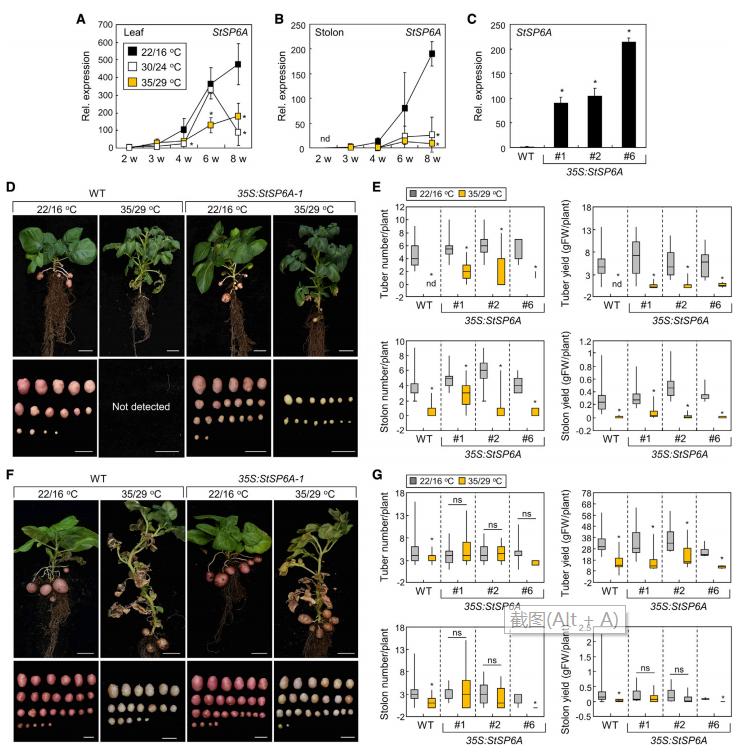 "Cell Reports" Korean scholars reveal the molecular mechanism of high ...