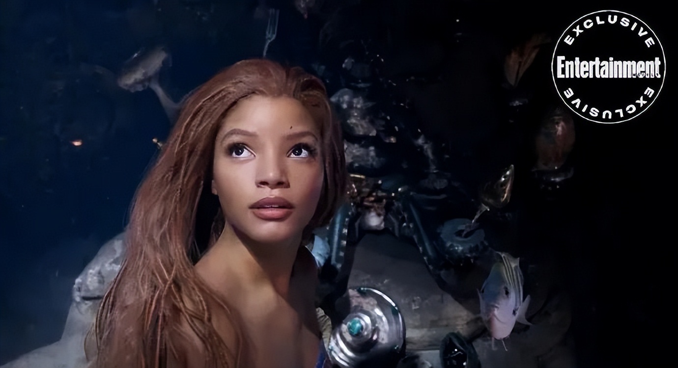 The director of "The Little Mermaid" confessed the reason for choosing ...