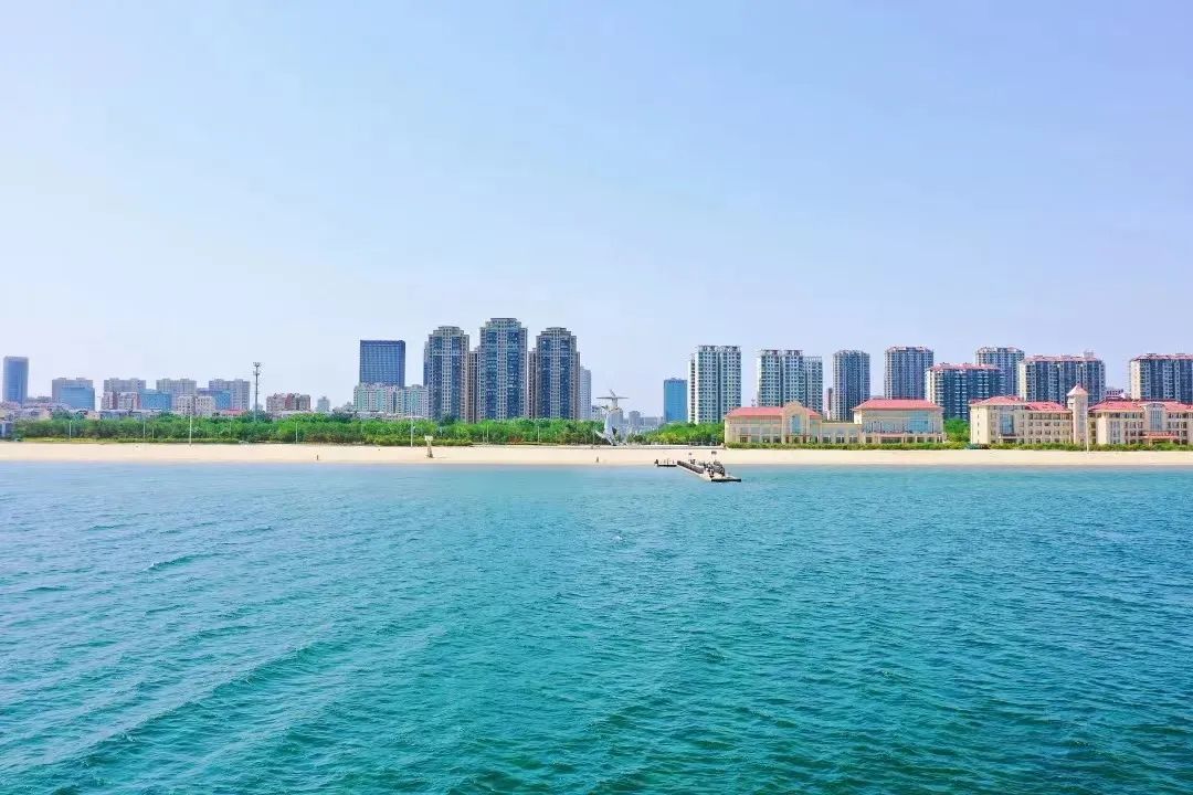 Behind the massive sea sausages in Bajiao Bay - iNEWS