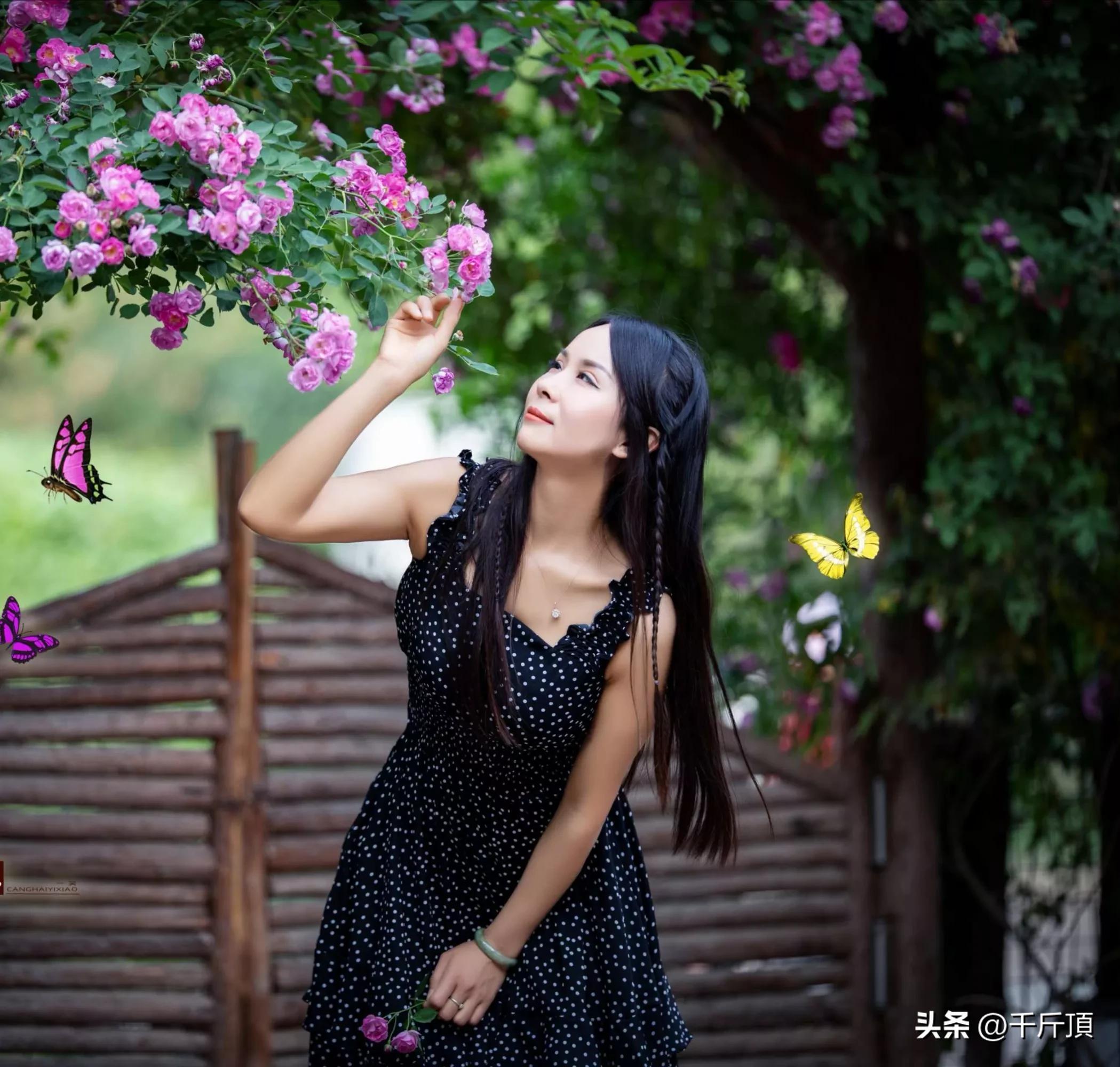 Mei's tears are fragrant and lingering, and Ying Huai Yi window dreams ...